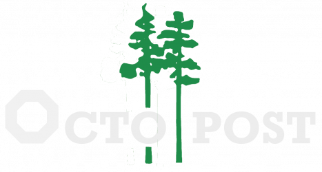 Swedish creosoted fencing solution with a 25 year guarantee