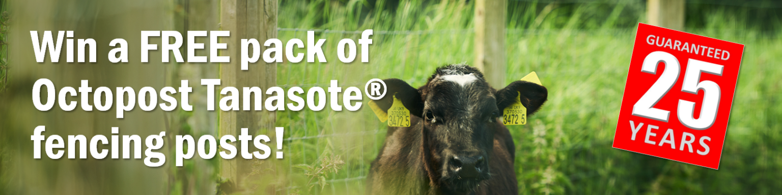 Swedish creosoted and Tanasote fencing solution with a 25 year guarantee